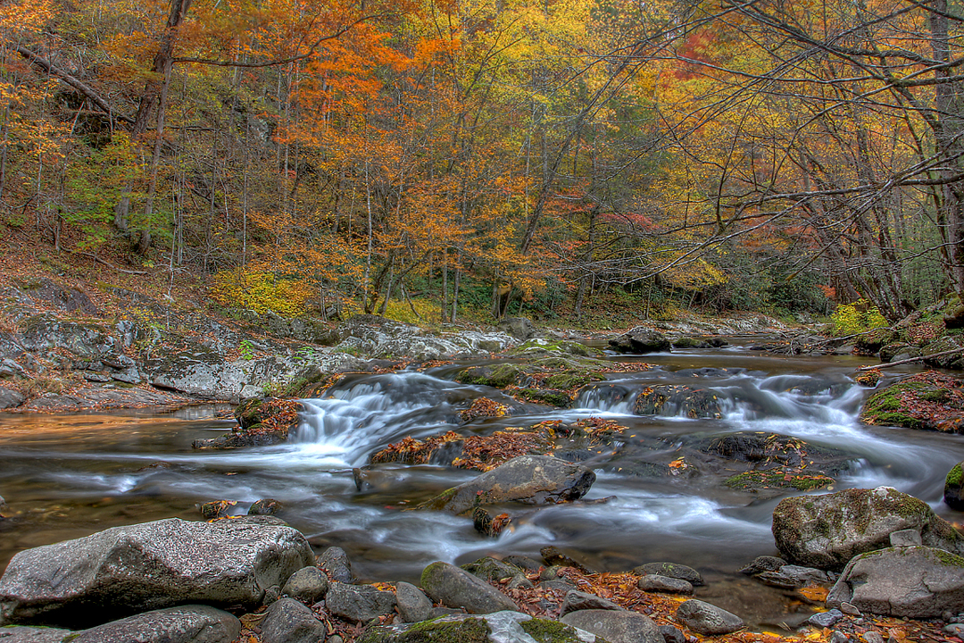 Tremont | Great Smoky Mountains